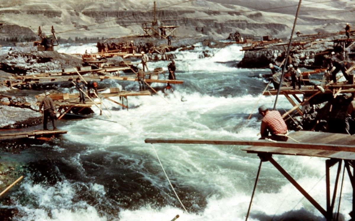 Of June Hogs – Fulcrum Coffee Roasters